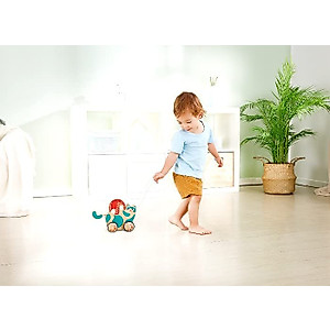 Hape Wooden Walk-A-Long Kitten Pull Toy| Roll & Rattle Push Pull Toy for Toddler| Montessori Toys for Walking Toddlers, Green