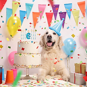 Landhoow 2.76 Inch Birthday Candle Shell Sequins Blue Candle with 6 Pcs 6.7 Inch Twisty Curly Coil Candles for Baby Girl Boy Birthday Cake Topper Anniversary Wedding Mermaid Party Decor(Number 6)