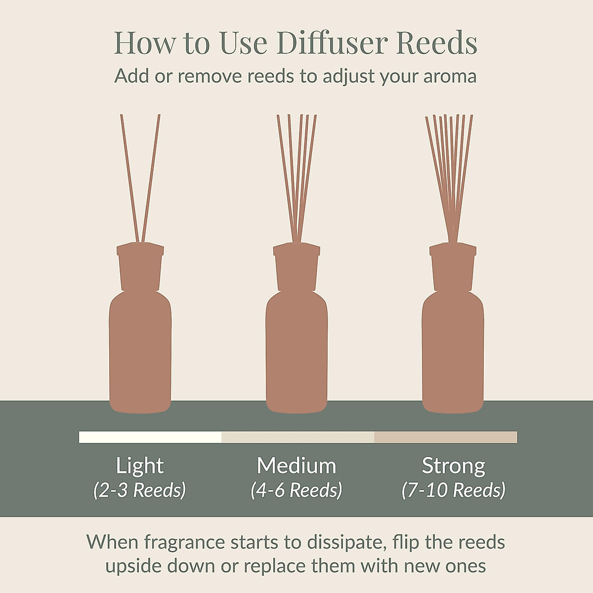 Archipelago Botanicals Mango Tangerine Reed Diffuser, Home Fragrance Reed Diffuser, Includes Fragrance Oil, Decorative Wooden Cap & 10 Diffuser Reeds, Perfect for Home, Office or Gift, 7.85 fl oz