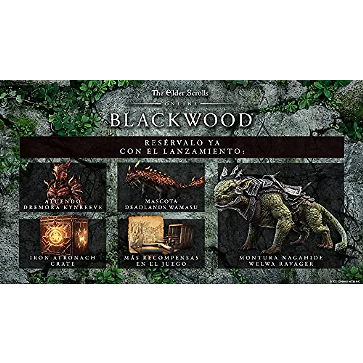The Elder Scrolls Online Collection: Blackwood (PS4)