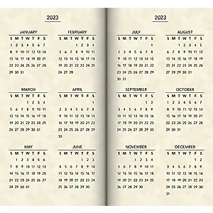 Kitten Cuddles | 2023-2024 3.5 x 6.5 Inch Two Year Monthly Pocket Planner | BrownTrout | Animals Cute Cat Feline