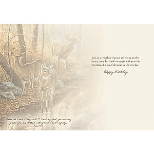 HTL Card-Boxed-Birthday-Whitetail Deer (Box of 12)