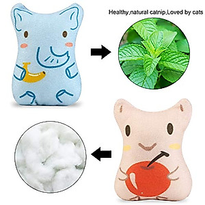 Dorakitten Catnip Toys for Indoor Cats - 5PCS Plush Cat Chew Toys Teething Interactive Catnip Filled Kitten Toy Soft Pet Toy (Animal Shapes)
