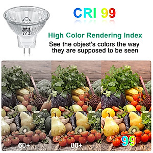MR11 Light Bulbs, 12V 10W Halogen Light Bulbs 2 Pin, FTD Spotlight Bulb, GU4 Bi-Pin Base, Dimmable, 2700K Warm White, 2 Prong Light Bulb for Landscape, Accent, Track Lights, Fiber Optics, 2Pcs
