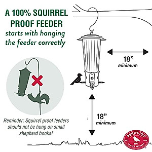 Perky-Pet 333-1SR Squirrel-Be-Gone Max Large Wild Bird Feeder with Flexports, Squirrel Proof Bird Feeder with Weight-Activated Perches - 3LB Seed Capacity