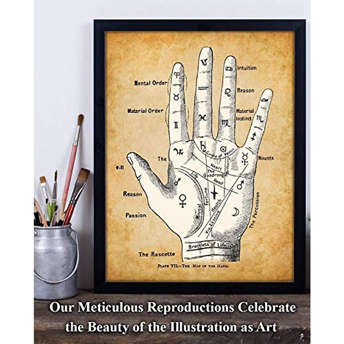 Palm Reading Divination Chart - Classic Fortune Teller Decor, Chiromancy Wall Art, Gift for Oddity Palm Readers, Palmistry and Astrology Fans, 11x14 Unframed Art Print Poster