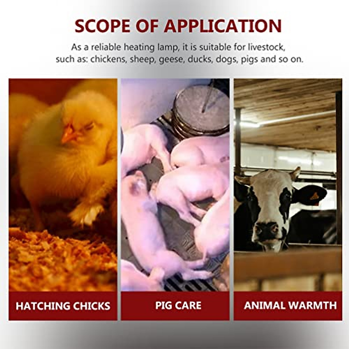 Egg Candler Lamp Farm Livestock Chicken Heat Lamp Holder Piglet Heating Lamp Light Heat Preservation Tools for Replacement Insulation Livestock Fertile Eggs for Hatching Egg Incubator