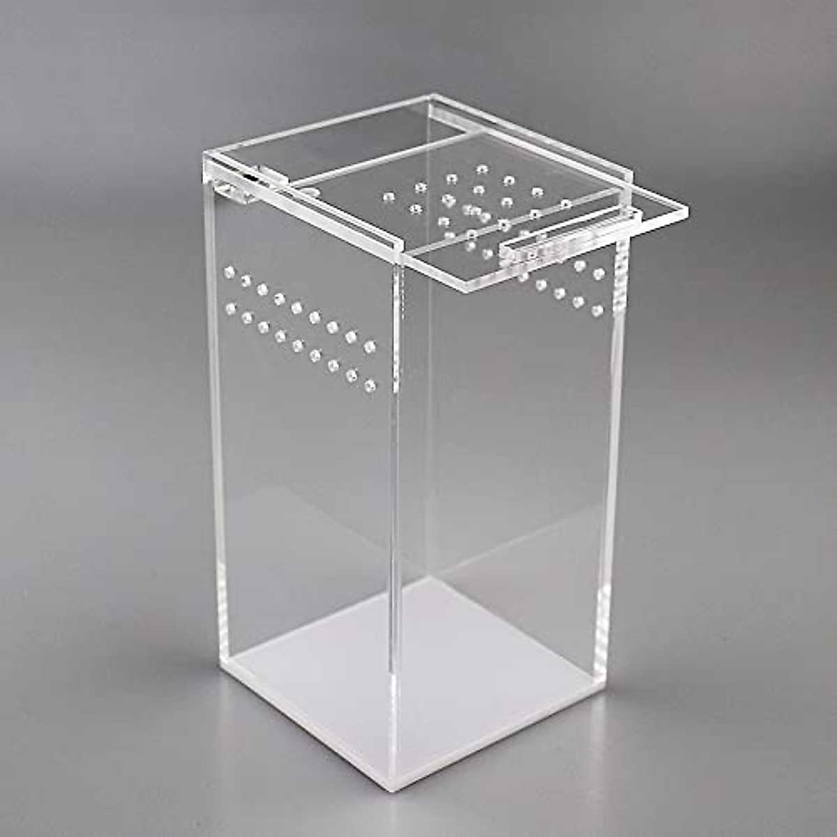 NANEEZOO Magnetic Acrylic Case, 2.9x2.9x6 Inch Nano Arboreal Tarantula Enclosure Reptile Habitat Terrarium Breeding Box for Spider Scorpion Sling Isopods Lizards Invertebrates Insect Mantis