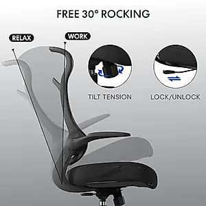 FLEXISPOT OC2 Comfy Office Chair Ergonomic Back Support Home Office Desk Chairs Comfortable Computer Chair with Flip-up Arm Rest Comfy Chair for Living Room/Bedroom/Study(Black)