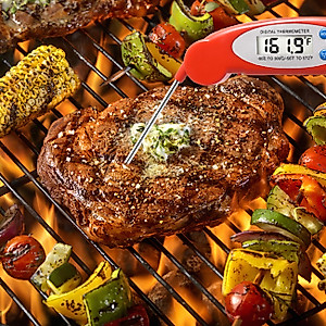 Food Thermometer,Cooking Thermometer Instant Read Thermometer Candy Thermometer with Super Long Probe for Kitchen Cooking BBQ Grill Smoker Meat Fry Food Milk Yoghourt-Blue