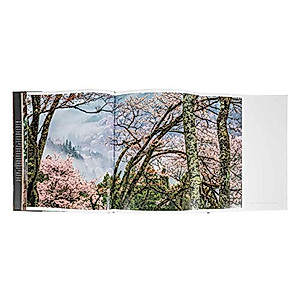 Trees: Between Earth and Heaven