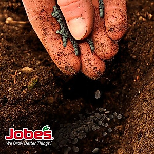 Jobe’s Organics Granular Fertilizer, Organic Fertilizer for Palm Trees and Plants, 4 lbs Bag