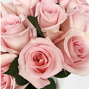 Farm Direct Fresh Pink Roses for Mother's Day | Pink Rose Flower Bouquet of 12 Fresh Roses (Dozen) + Vase Included - Roses for Delivery
