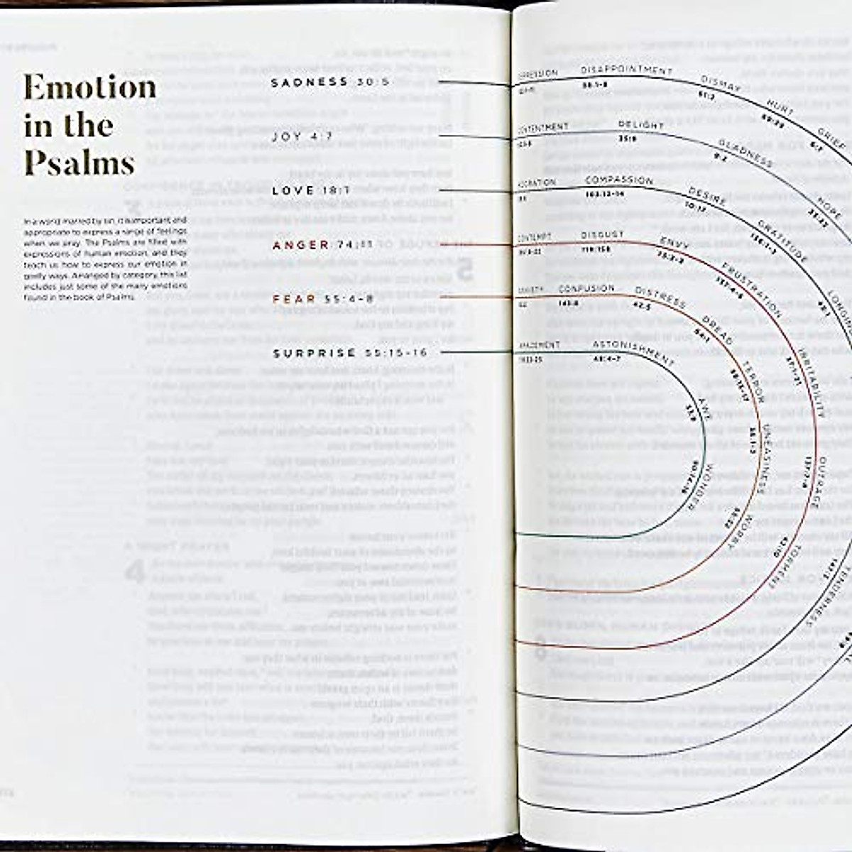 CSB He Reads Truth Bible, Black LeatherTouch, Black Letter, Wide Margins, Journaling Space, Illustrations, Reading Plans, Single-Column, Easy-to-Read Bible Serif Type