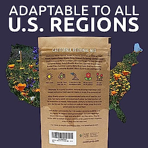 California Wildflower Mixture - Bulk 1/4 Pound Bag - Over 30,000 Native Seeds - Open Pollinated and Non GMO