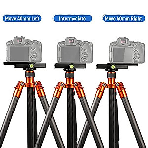 NEEWER Quick Release Plate with Clamp Adapter Set, 120mm QR Plate with Clamp, 3/8"&1/4" Screw, Bubble Level, 3/8” to 1/4” Screw Adapter, Compatible with Arca Swiss Tripod Monopod Ball Head