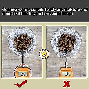 HANDPOINT 11 lbs Dried Mealworms, 100% Non-GMO Natural High-Protein,Treats for Chicken, Fish, Bird Food(11LB)