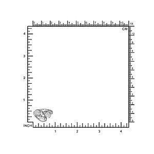 Silvershake Natural Rainbow Moonstone 925 Sterling Silver 3-Stone Cluster Ring Size 7.5