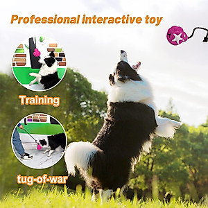 ROYAL PETS USA Indestructible, Durable & Tough Octopus Dog Chew Toy for Aggressive Chewers. Slow Treat Dispensing Interactive Toys for Small, Medium & Large Breed with 100% Natural Rubber & Flavor.