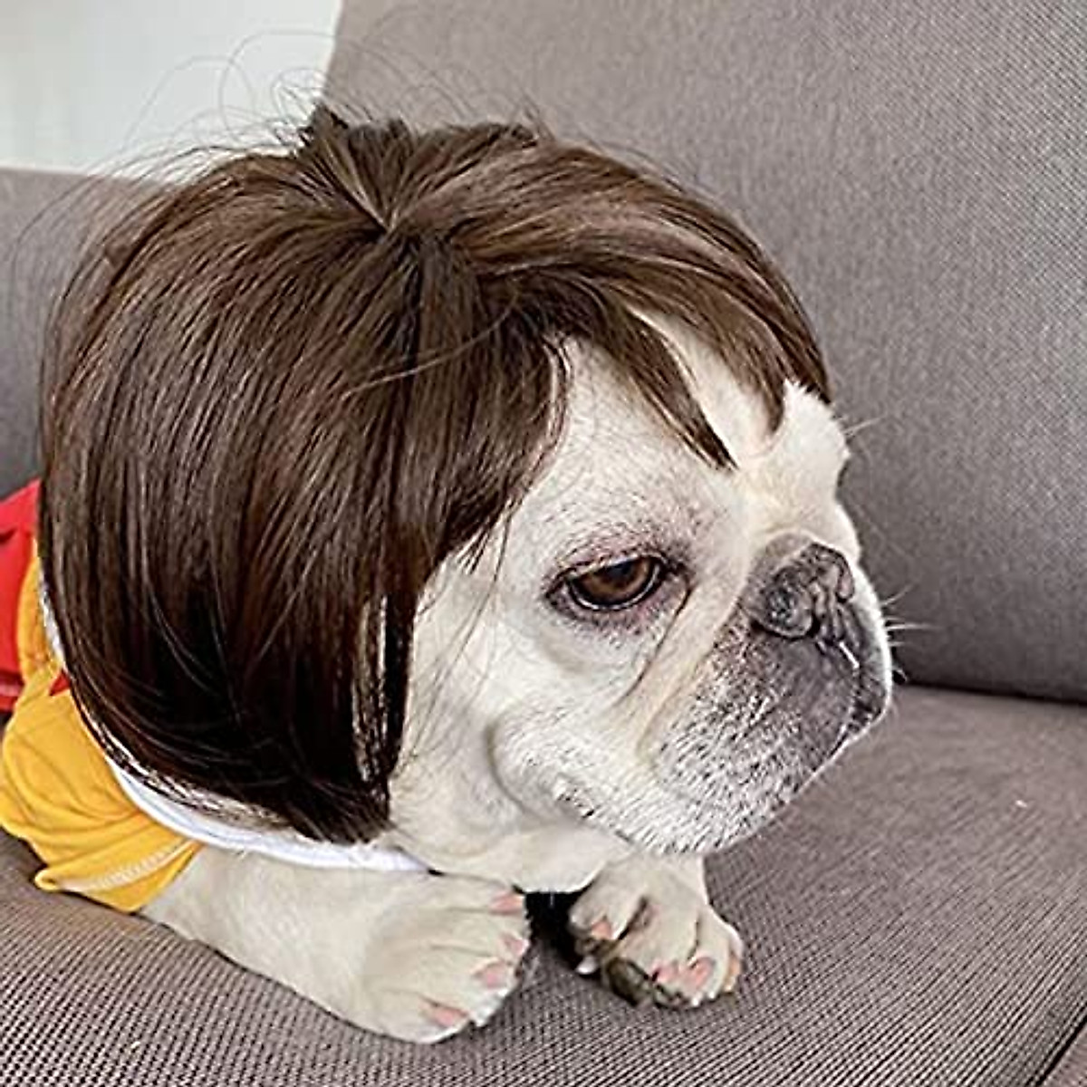 DooMase Funny Pet Clothing Pet Wig Pet Halloween Special Events Costume for Dog & Cat (Flaxen Wig, One Size)