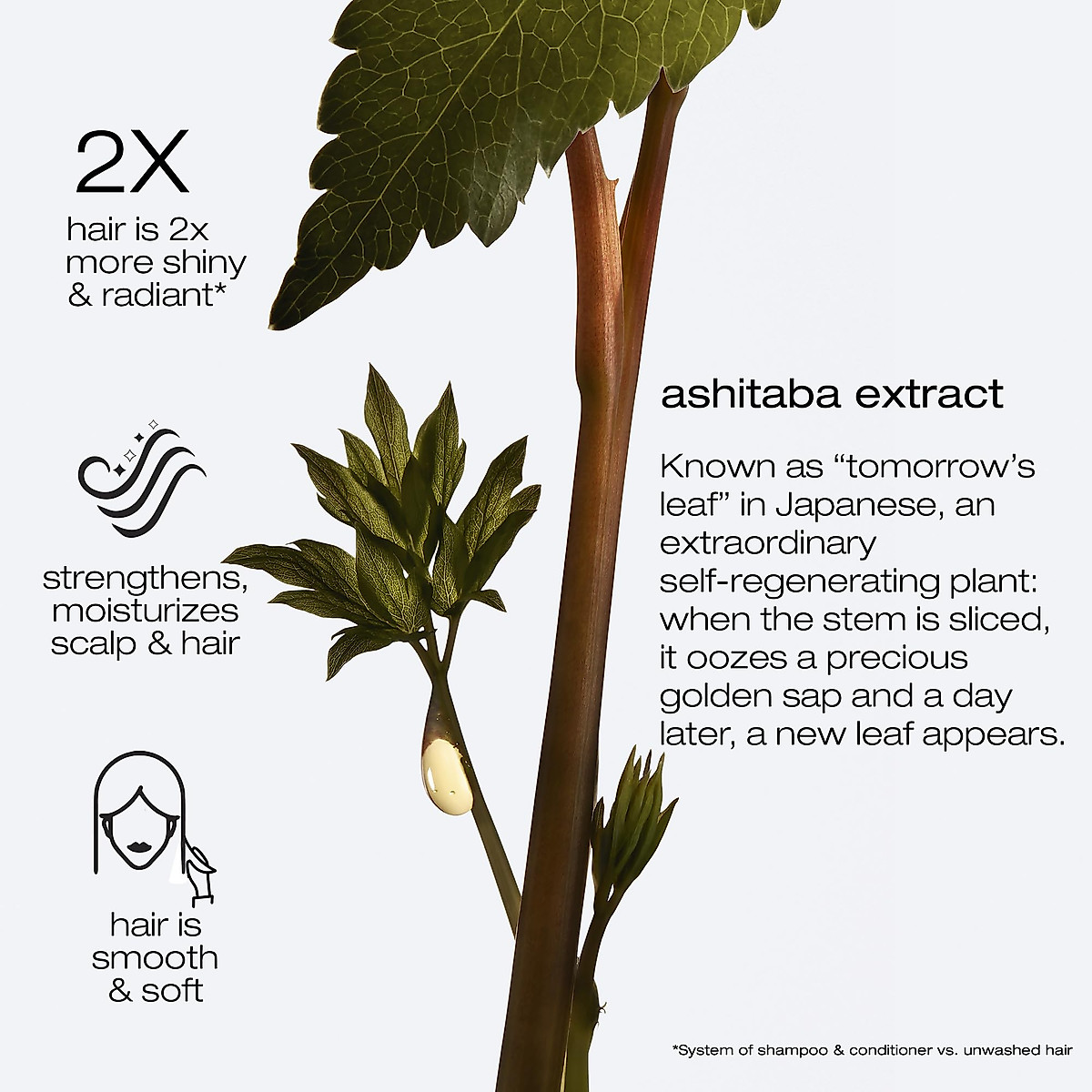 Shu Uemura Ashita Supreme Strengthening Conditioner for Damaged Hair | Deeply Nourishes and Hydrates | Enhances Shine and Smoothness | Strengthens to Reduce Breakage | For Dry, Damaged Hair