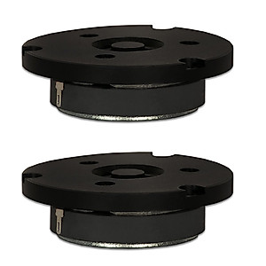 Goldwood Sound, Inc. Sound Module, Black Soft Dome Tweeters 100 Watt Each 8ohm Replacement Round 2 Tweeter Pack (GT-316-2)