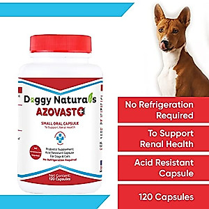 Azovast Plus Kidney Health Supplement for Dogs & Cats, 120ct - NO Refrigeration Required - Help Support Kidney Function & Manage Renal Toxins - Renal Care Supplement Capsule(U.S.A) (120 Caps)