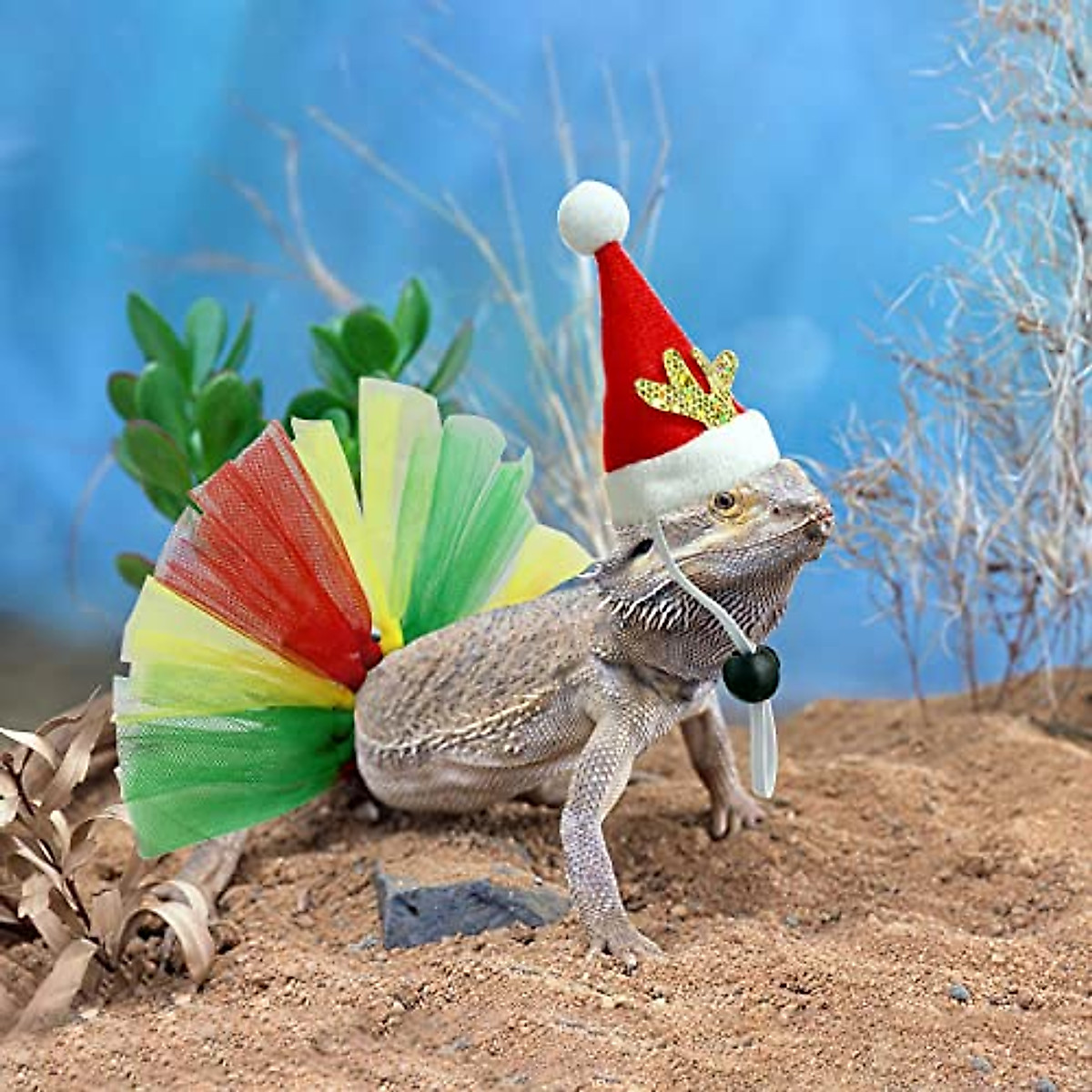 Vehomy 4Pcs Christmas Bearded Dragon Costume Christmas Bearded Dragon Santa Claus Hats Christmas Bearded Dragon Lizard Tutu Skirts Xmas Beardy Lizard Outfit for Chick Hamster Bird Parrot