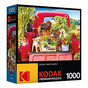 RoseArt - Kodak Premium - Stowaways - 1000 Piece Jigsaw Puzzle for Adults
