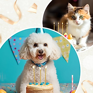 LITAUS, Cake Candles - Gold, 24 Count | Birthday Candles for Cake | Sparkler Candles for Birthday Cake | Happy Birthday Candles | Cake Candles for Cake Decorations, Birthday Parties, Weddings