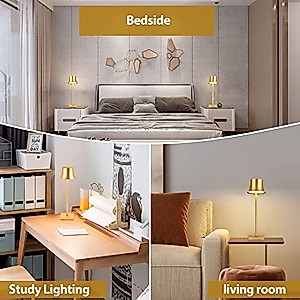 LED Desk Lamp Cordless Table Light, Rechargeable Battery Powered USB Charging Port 3 Levels Brightness Dimmable for Outdoor Modern Restaurant Dining Bedroom Study Portable Lights Set of 2 Pack Gold