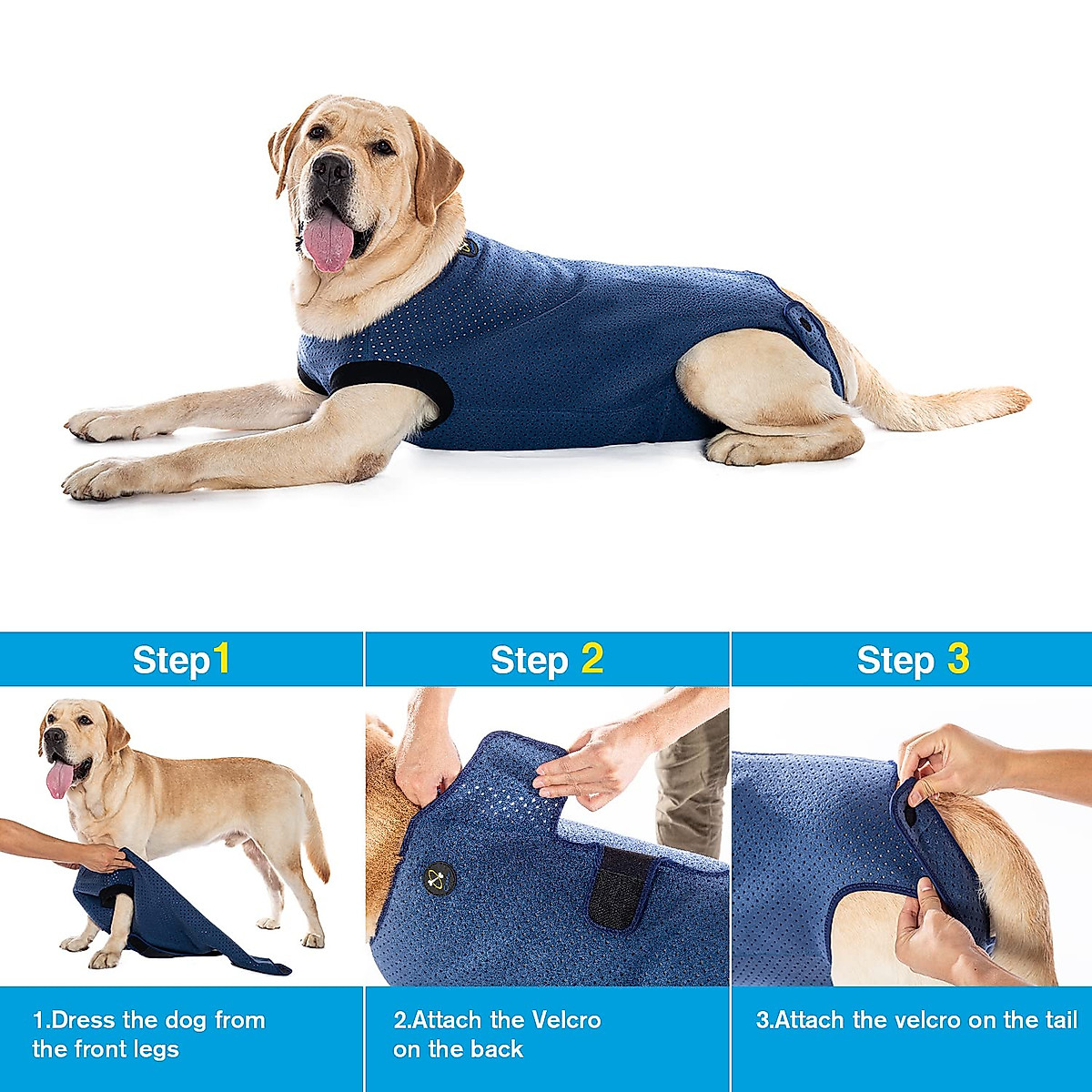 COODEO Dog Surgery Recovery Suit, Waterproof Recovery Suit for Dogs, Surgery Suit for Wounds Protect, Cone Alternative After Surgery, Dog Onesie for Surgery Female or Male (Blue, XS)