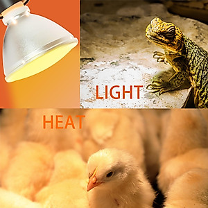 ExoRepti Reptile Heat Lamp Bulb Greenhouse Warming Bulb Reptile Light for Lizard, Turtle, Bearded Dragon, Hedgehogs, Snake Amphibians, Chicks, With 2 Bulb Beads (75 Watt). New Replaceable Bulbs Design
