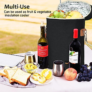 Insulated Leakproof Wine Cooler Bag, Portable Padded Wine Bottle Carrier for Picnic, BYOB, Restaurant, Beach - 2 Bottle, 14" x 9.2" x 4" (Black)
