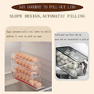 Lshnrd 4 Tiers Egg Holder for Fridge,Auto Rolling Egg Fridge Organizer,Space-Saving Egg Dispenser Holder for Refrigerator,Large Capacity Egg Storage Rack(Transparent)