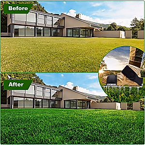 Upgraded Metal Lawn Aerator Shoes Spiked Shoes for Aerating Lawn, Rivet Pre-Assembled Aerating Shoes with 2 Straps Design, One-Size-Fits-All, Adjustable Spiked Shoes for Grass Lawn Garden Yard