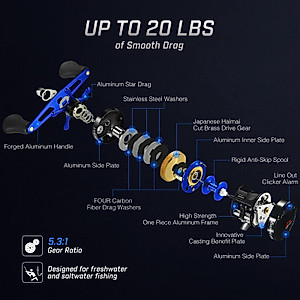 Piscifun Chaos XS Baitcasting Fishing Reel, Reinforced Metal Body Round Baitcaster Reel, Smooth Powerful Saltwater Inshore Surf Trolling Reel, Conventional Reel for Catfish (40 Left Handed)