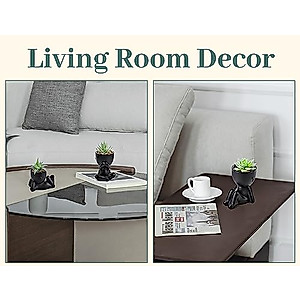 Der Rose 3pcs Fake Succulents Plants Artificial for Bathroom Bedroom Home Room Decor Aesthetic Indoor