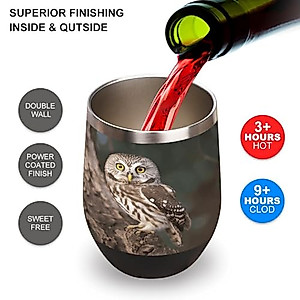 WYUSPGK 304 Stainless Steel Insulated Cup, Wildlife Animal Owl Print Smooth Rim, Durable & Reusable - Perfect for Office, Home, And Travel