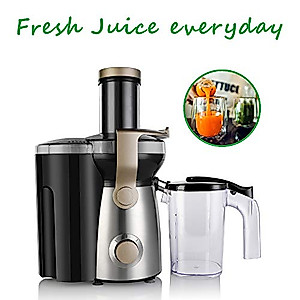 Brentwood Appliances JC-1000 2-Speed 1,000-Watt Juice Extractor with 50-Ounce Graduated Jar Other Kitchen Appliances, Normal, Black