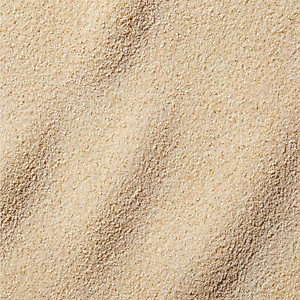 McCormick Onion Powder, 4.5 oz