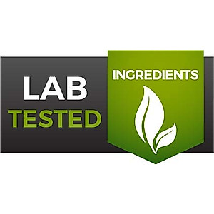 Certified Organic Bone Mending Pills by Dimmak Herbs, Bone Fracture Healing Supplement, Bone Strengthening Pills, Chinese Medicine Herbs - 100 caps 500mg