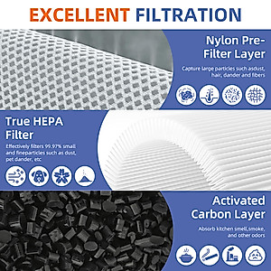 12030 HEPA Replacement Filter for Clorox Medium Room Air Purifier 11030 & 11031,3-in-1 H13 True HEPA with Activated Carbon Filter,2 Pack