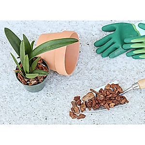 Orchid Potting Bark, Douglas Fir Bark 4qt Bag, Great for Re-Potting Orchids, Adding to Gardens, or Terrariums!