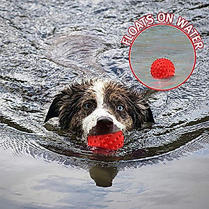RHL Dog Squeaky Toys for Aggressive chewers Large Breed Balls Interactive Dog Ball Toy Almost Indestructible Tough Durable Stick for Medium Small Dogs Puppy Chew Toys with Non-Toxic Natural Rubber