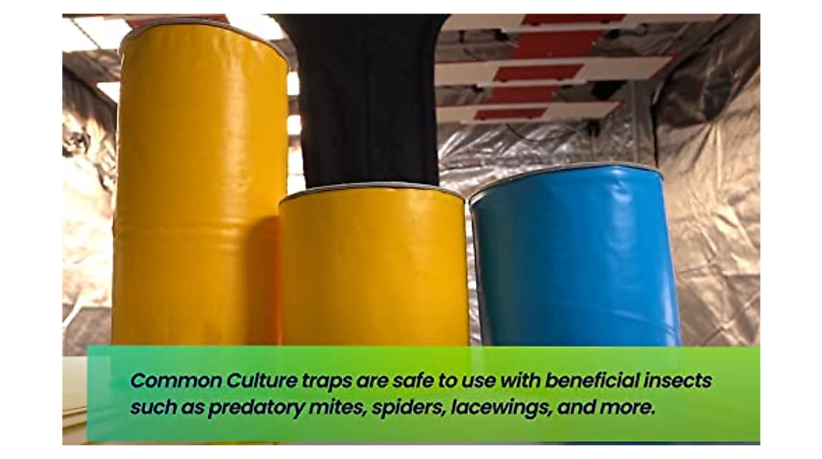 Giant Yellow Sticky Traps - Effective Pest Control for Indoor & Outdoor ...