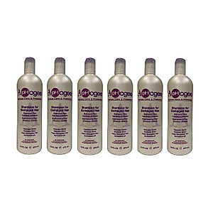 Aphogee Shampoo for Damaged Hair, 16 oz (Pack of 6)
