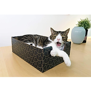 Purrfect Cat Box , Blue