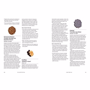 The Plant Medicine Protocol: Unlocking the Power of Plants for Optimal Health and Longevity