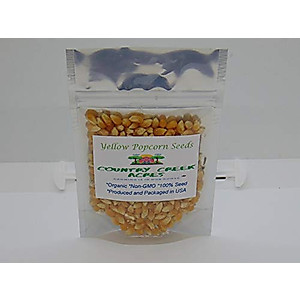 Yellow Popcorn Seed for Growing Heirloom OP Open Pollinated Non-GMO Garden Seed 25 Seeds by Country Creek Acres